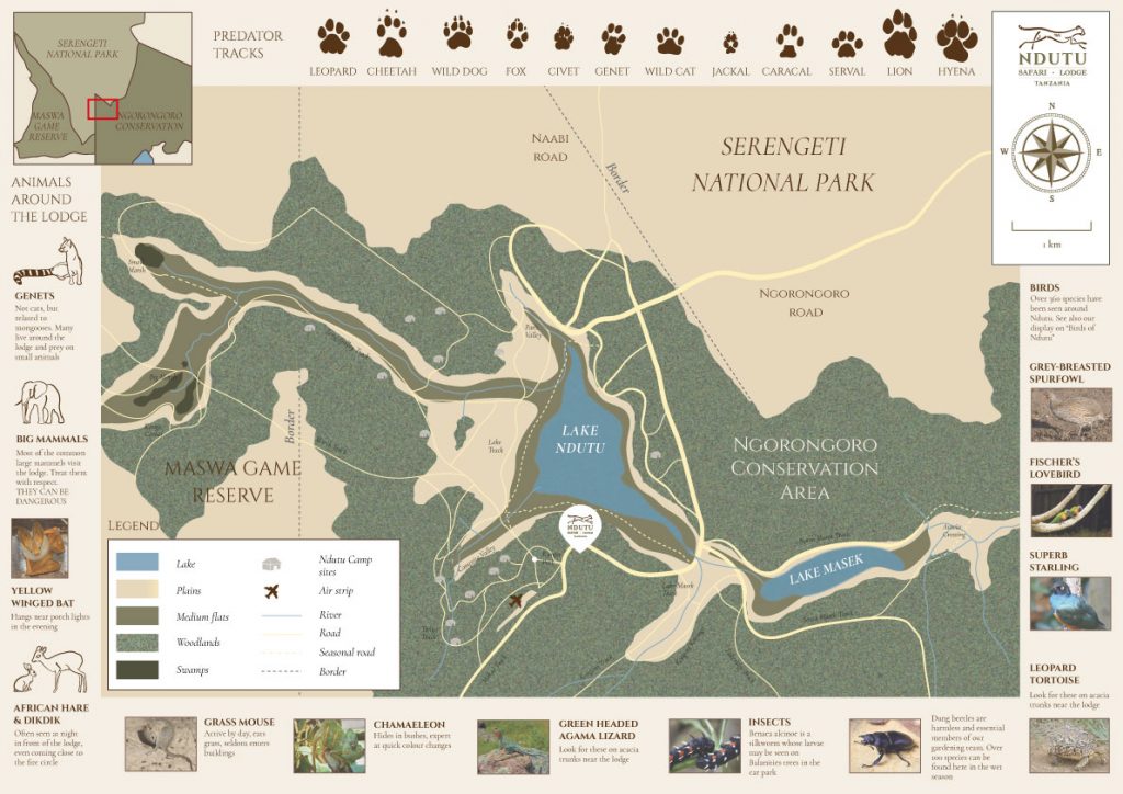 NDUTU Safari Lodge - Ecommerce Web Design | Digital Marketing Agency