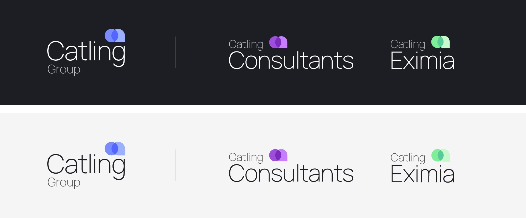 Catling Group | Digital Marketing | Web Design Agency